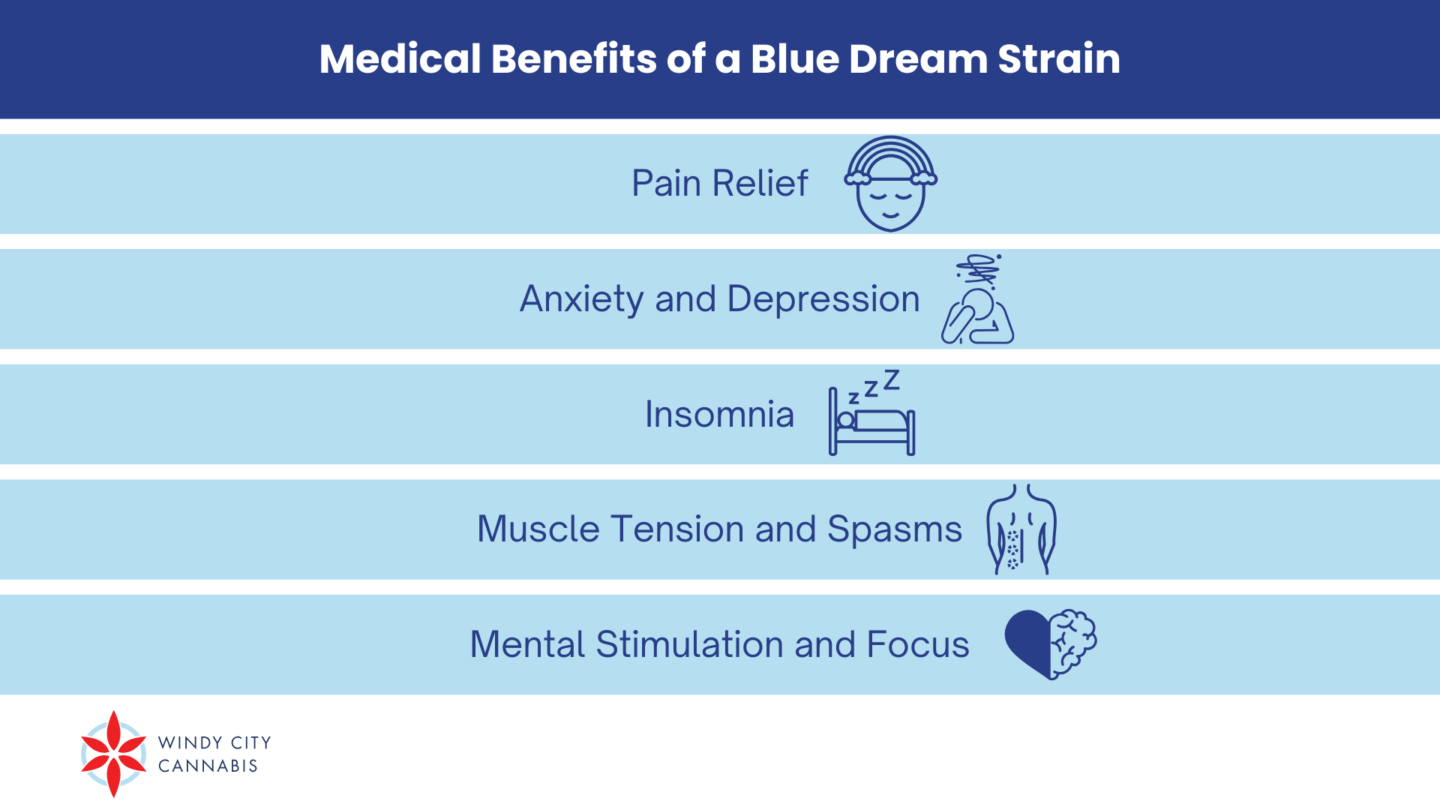 Blue Dream Cannabis Strain: Your Complete Guide