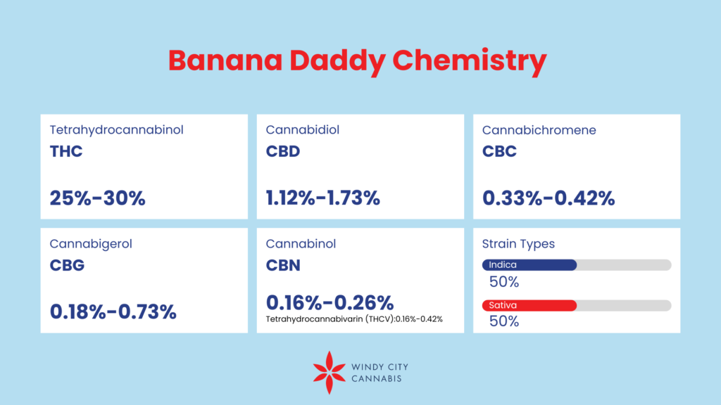 Banana Daddy Strain: A Full Guide🍃